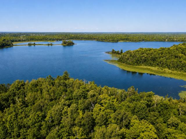 37800 Grave Lake Forest Road