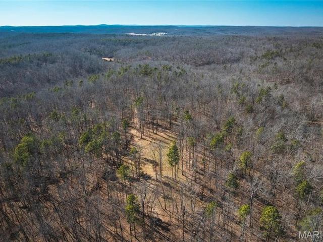 37805 State Highway HH, Patton, MO 63662