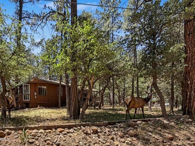 3780 N Hunt Dr, Pine, AZ 85544