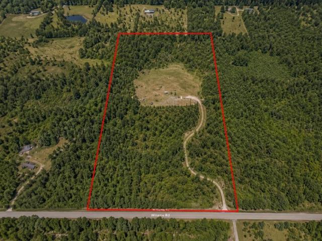 3780 Williams Rd, Lewiston, MI 49756
