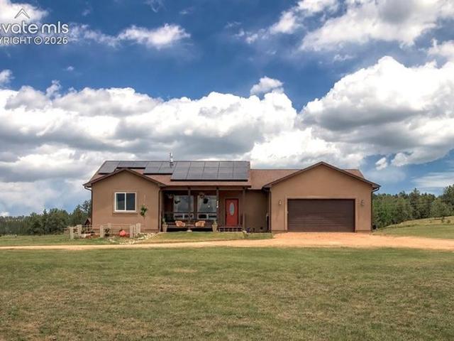 378 High Pasture Rd, Florissant, CO 80816