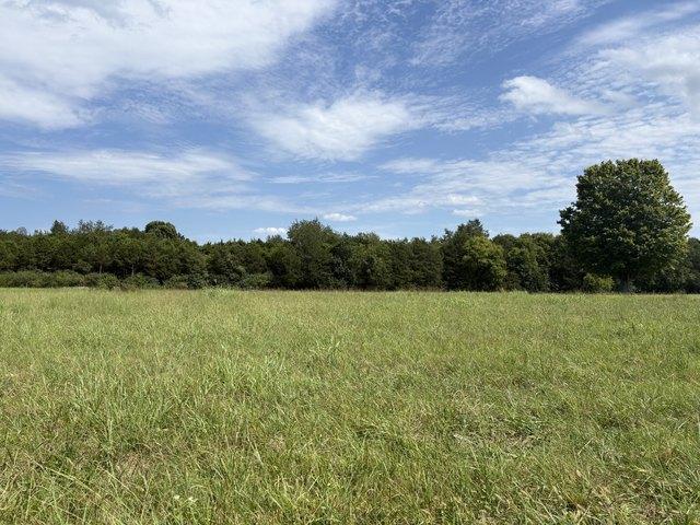 3795 Verona Caney Rd, Lewisburg, TN 37091