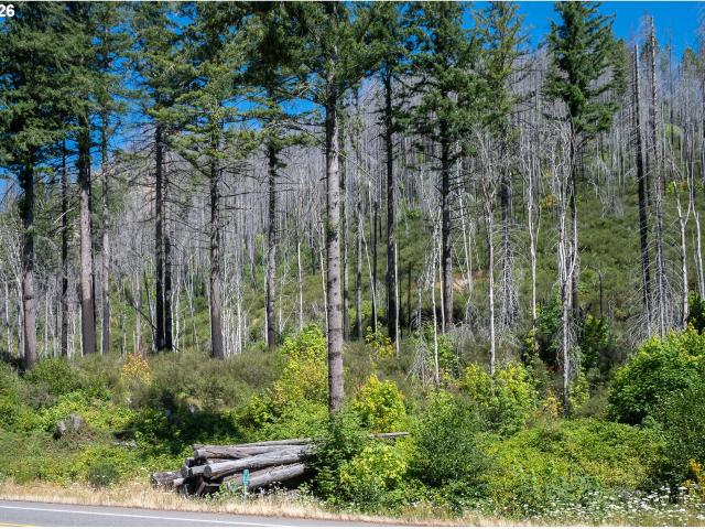37989 n santiam hwy