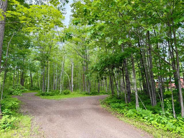 3799 County Road 132
