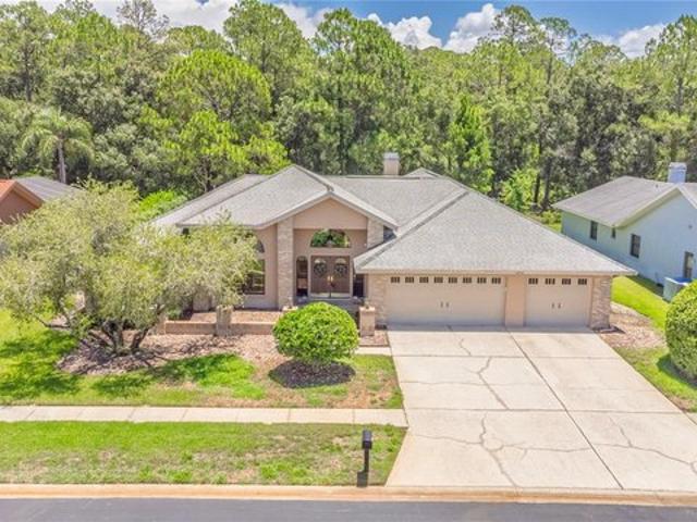 3792 Windber Blvd, Palm Harbor, FL 34685