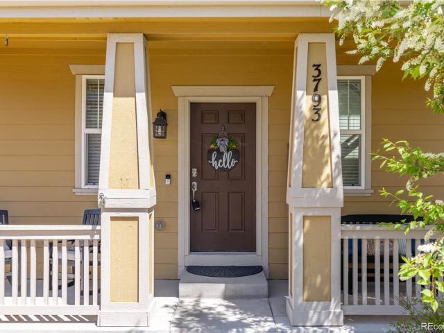 3793 Cadence Drive