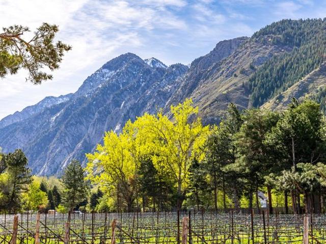 3793 E Quail Hill Ln S Unit 106, Sandy, UT 84092