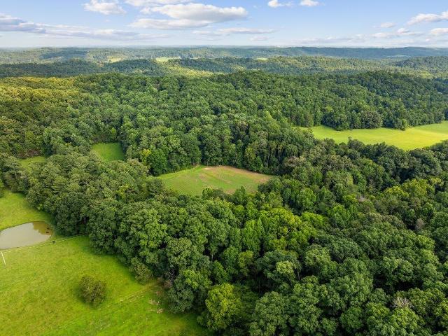 379 County Road 48