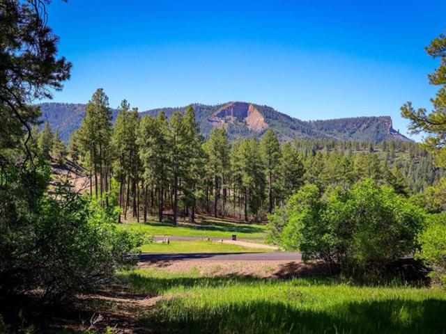 379 Ironwood Dr, Pagosa Springs, CO 81147