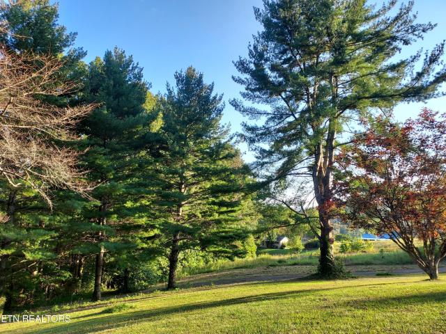 379 Luther Villa Rd