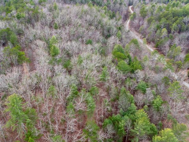 379 Maple Springs Rd