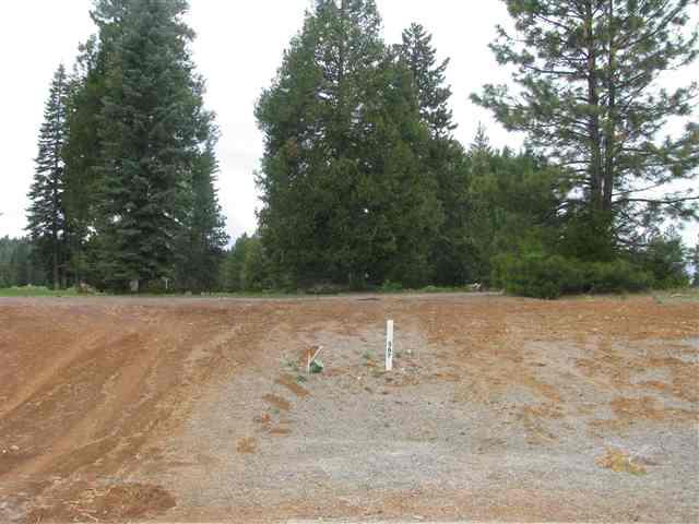 379 Terranova Dr, Lake Almanor, CA 96137 | MLS #2600