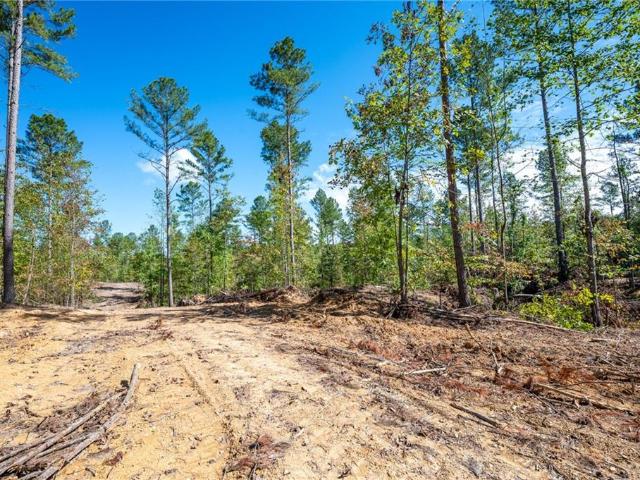 3805 Hwy 140 NE, Rydal, GA 30171 | MLS #7668 | Compass