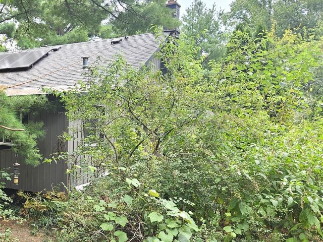 3805 th Street