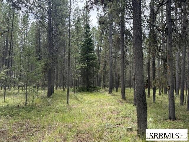 3807 Shoreline Dr, Island Park, ID 83429