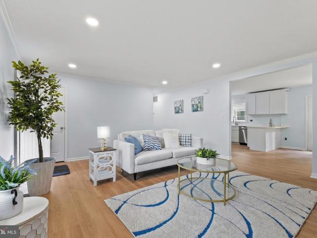 3801 Margay Court