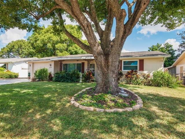 3802 Mynabird Dr, New Port Richey, FL 34652 | MLS #TB8489 | Compass