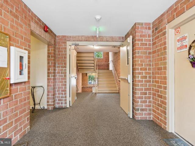 3802 Wean Drive # 3 D