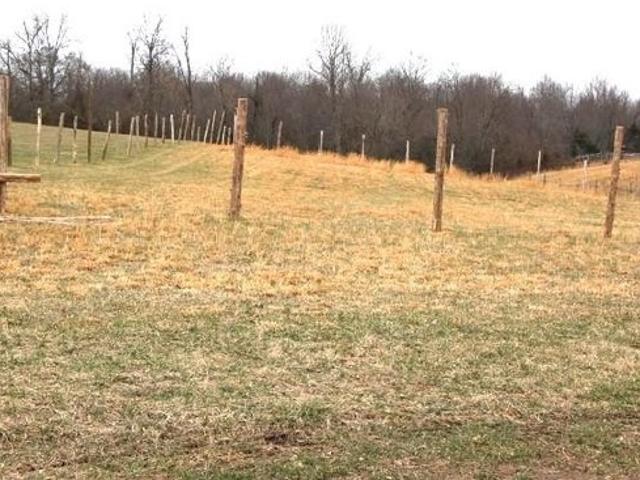 380 C W Jones Rd Lot 3, Scottsville, KY 42164