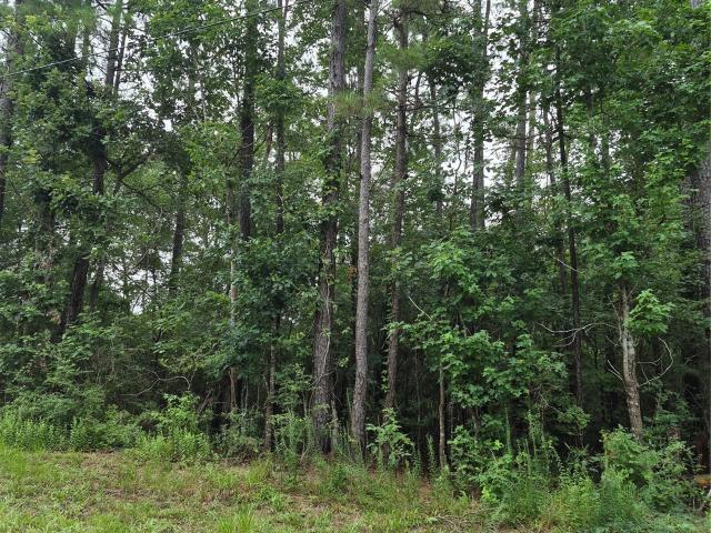380 County Road 6494