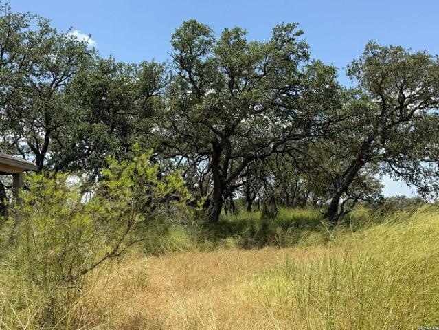 380 County Road 6723, Natalia, TX 78059