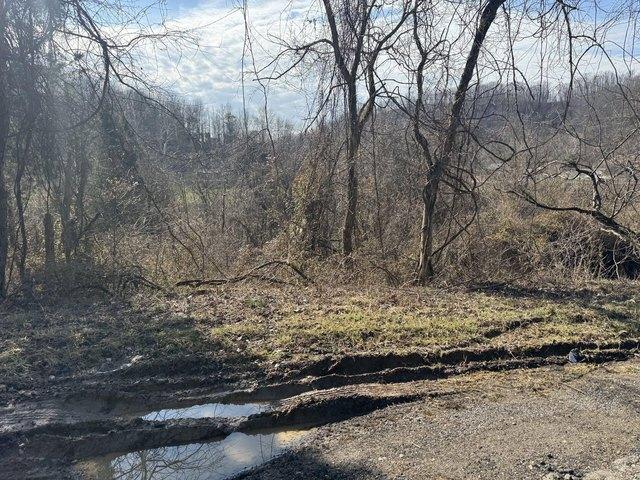 380 Frogs Creek Rd, Charleston, WV 25312
