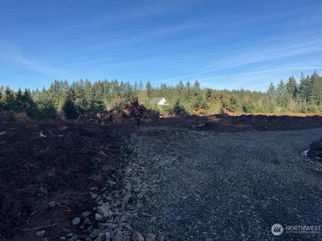380 Hawkins Rd, Winlock, WA 98596 | MLS #2483 | Compass