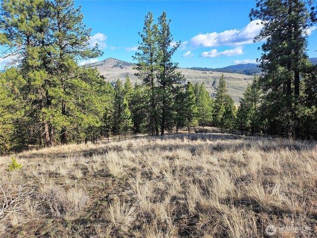 380 Lot Chopaka Tbd Rd Lot 380, Tonasket, WA 98855