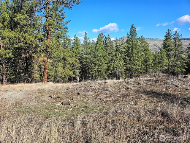 380 Lot Chopaka TBD Road