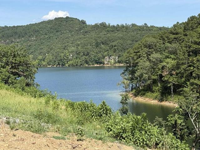 380 Lower Ridge Cir, Edgemont, AR 72044
