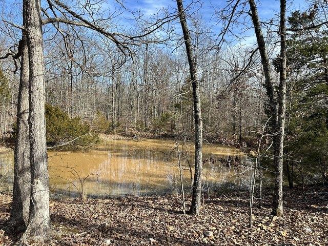 380 Moonlight Rd, Mammoth Spring, AR 72554
