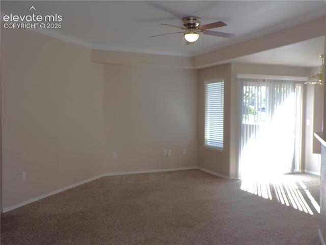 3815 Riviera Grove # 101