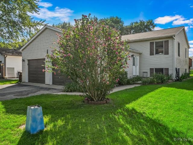 3815 Tulip Street
