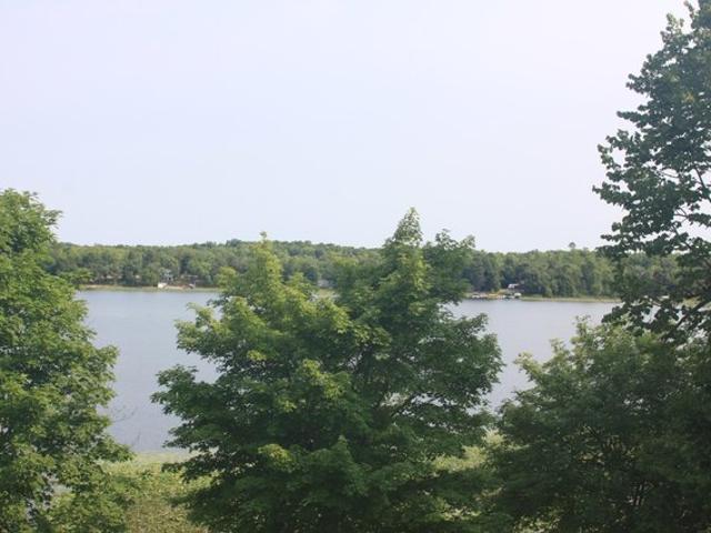 38173 County Highway 34 Unit 0, Ogema, MN 56569