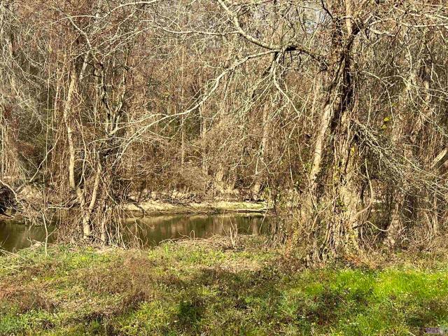 38170 Oakland Dr, Prairieville, LA 70769 | MLS #BR2022002