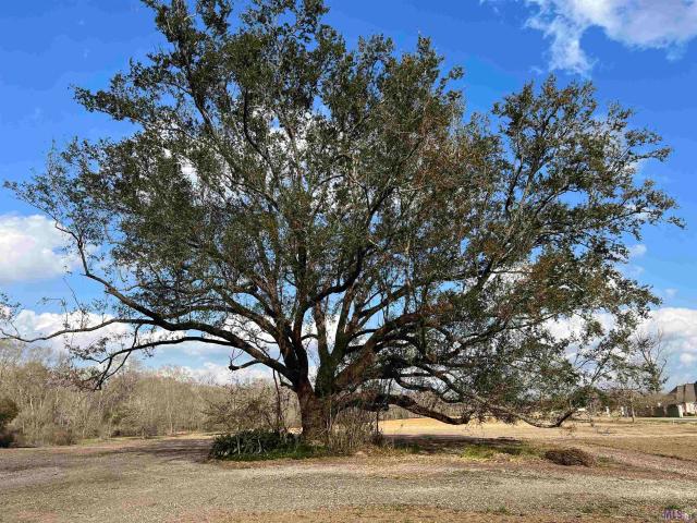 38178 Oakland Dr, Prairieville, LA 70769 | MLS #BR2022002