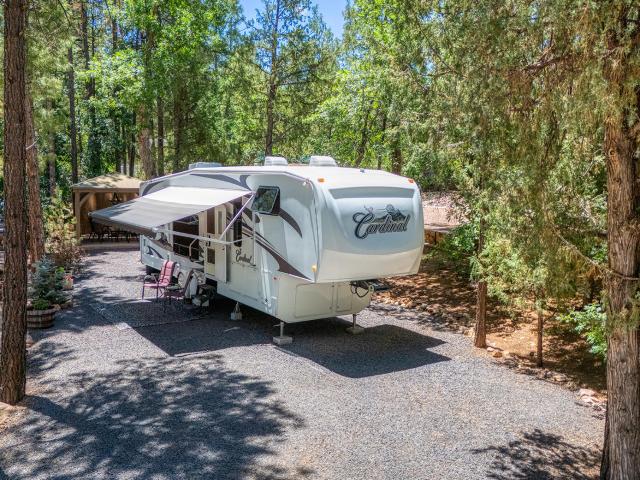 3810 Mule Skinner Loop