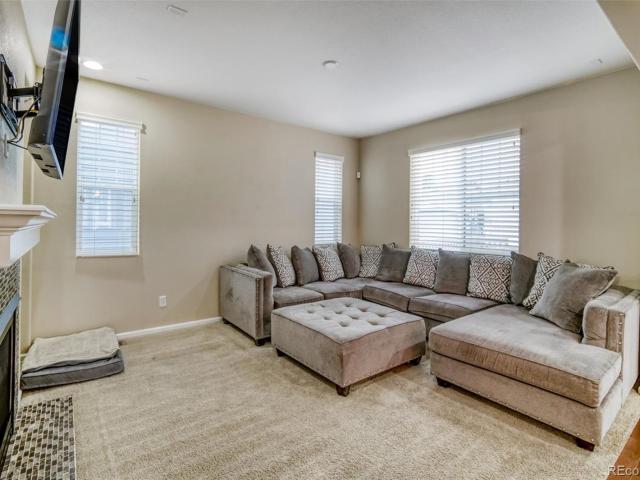 3810 Cadence Drive