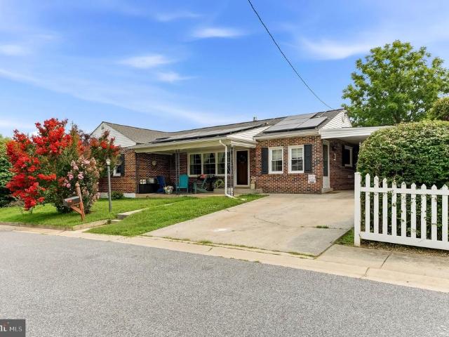 3813 Currant