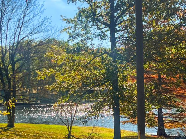 381 County Road 100 E Lot 14