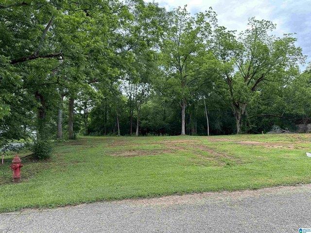 381 Ashland Ave Lot 1, Wadley, AL 36276