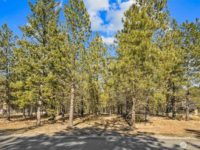 381 Gold Leaf Ln Lot 28, Cle Elum, WA 98922