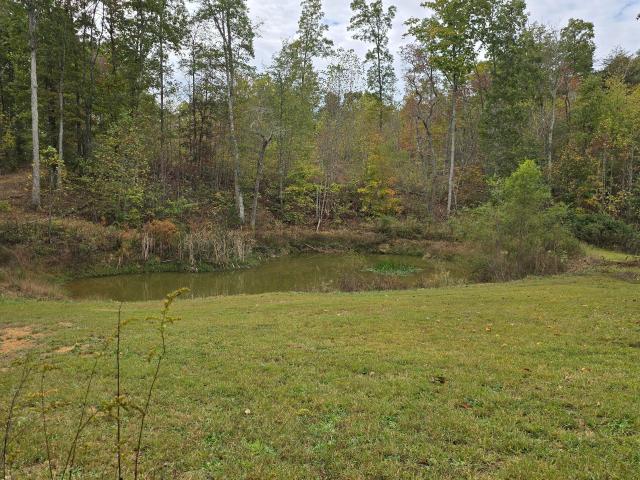 381 Grapevine Rd