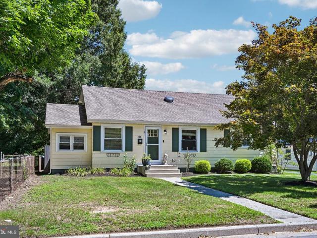 381 Ives