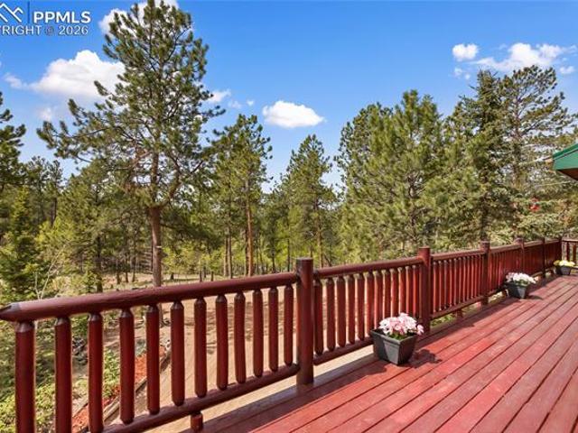 381 Saddleback Creek Drive