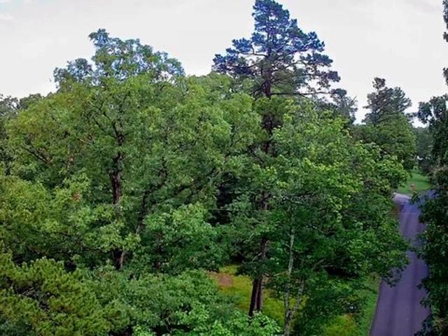 381 Patton School Rd Lot 2, South Pittsburg, TN 37380