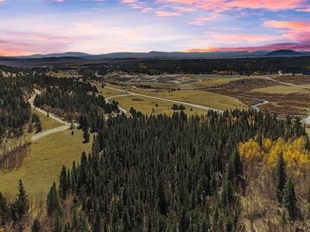 381 Platte River Dr, Fairplay, CO 80440