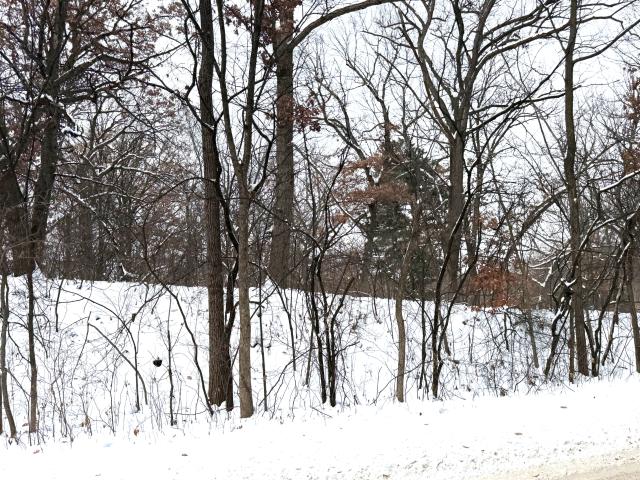 381 Totem Rd, St. Paul, MN 55119 | Compass