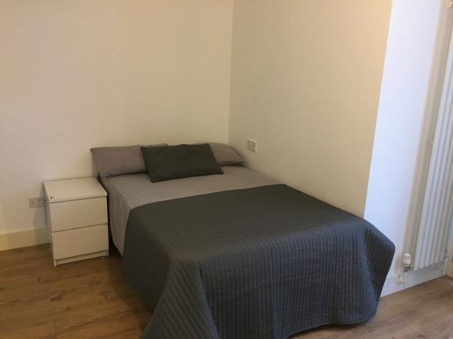 381N Fulham Modern Double Studio Single Person