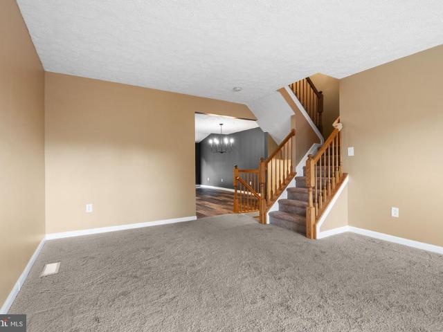 3825 Copper Beech Drive